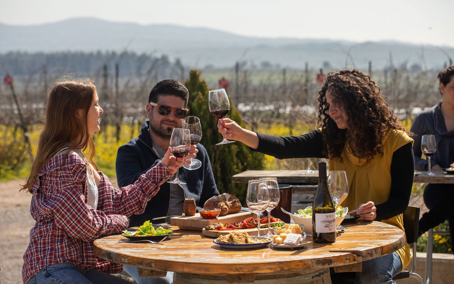 My Israel Wine Tours - Cultural wine and food tasting tours in Israel