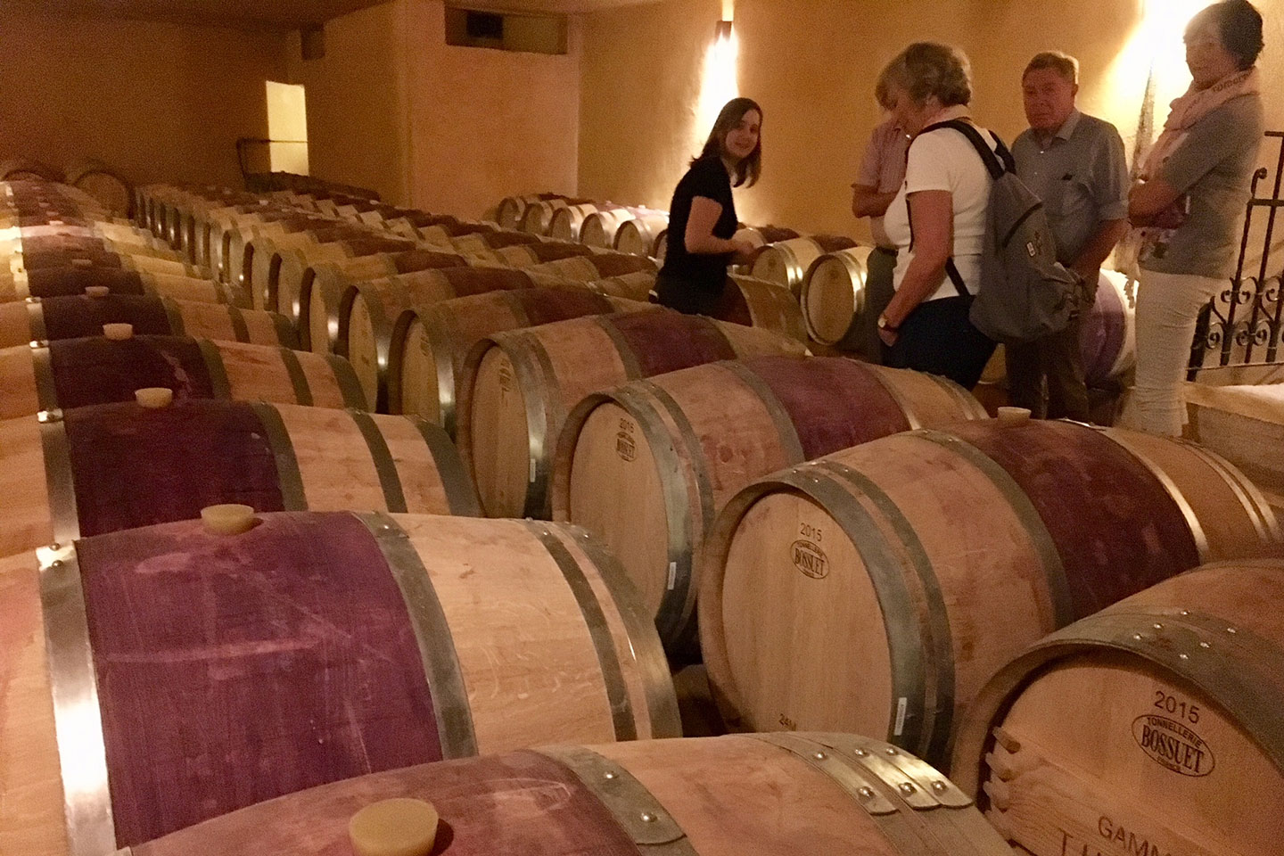 My Israel Wine Tours - Cultural wine and food tasting tours in Israel